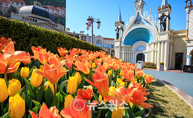 용인 가볼 만한 곳…에버랜드·한택식물원·은이성지 등 다양